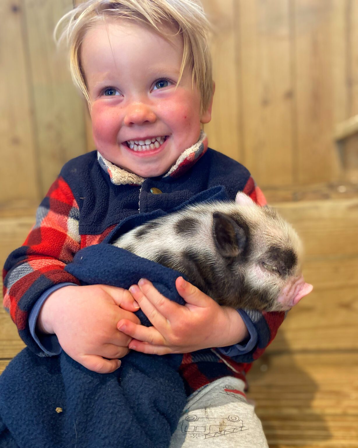 Pennywell Farm | Best Things To Do In 2026