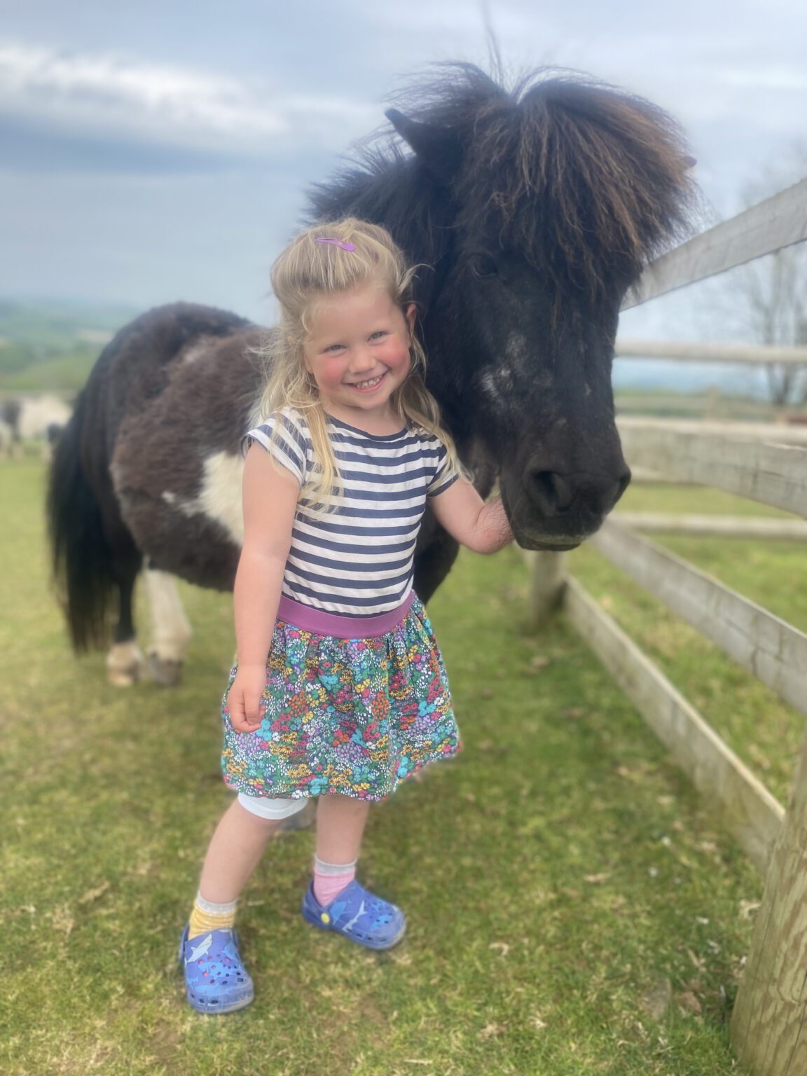 Pennywell Farm | Best Things To Do In 2026