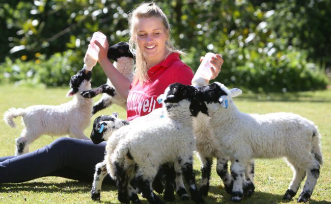 Pennywell Farm | Best Things To Do in Devon 2024