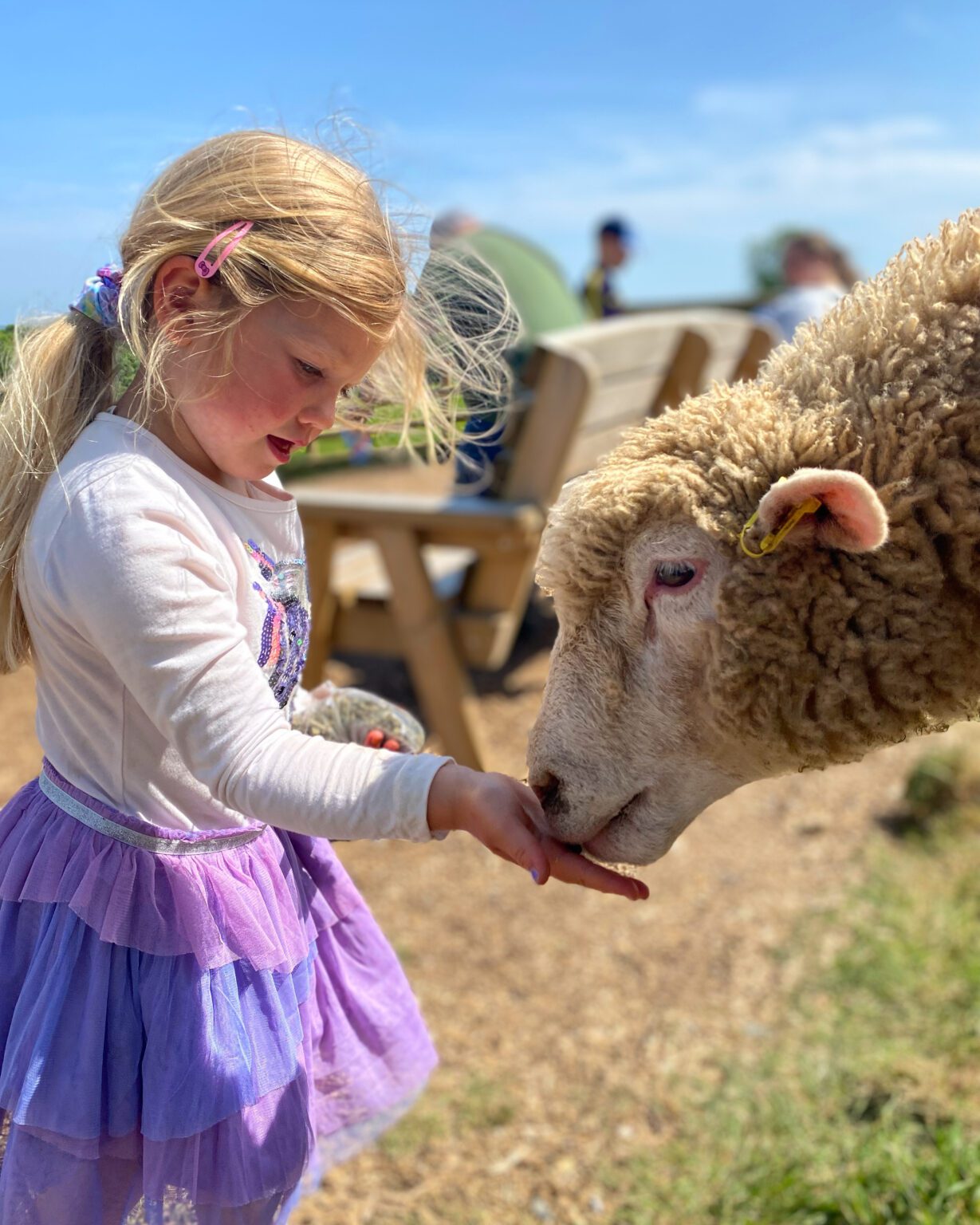 Pennywell Farm | Best Things To Do In 2026