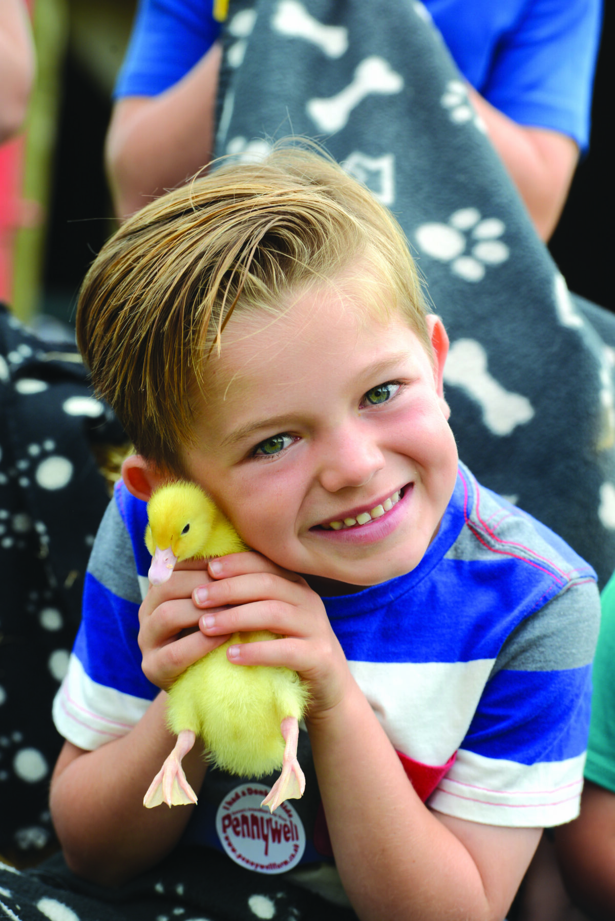 Pennywell Farm | Best Things To Do in Devon 2024