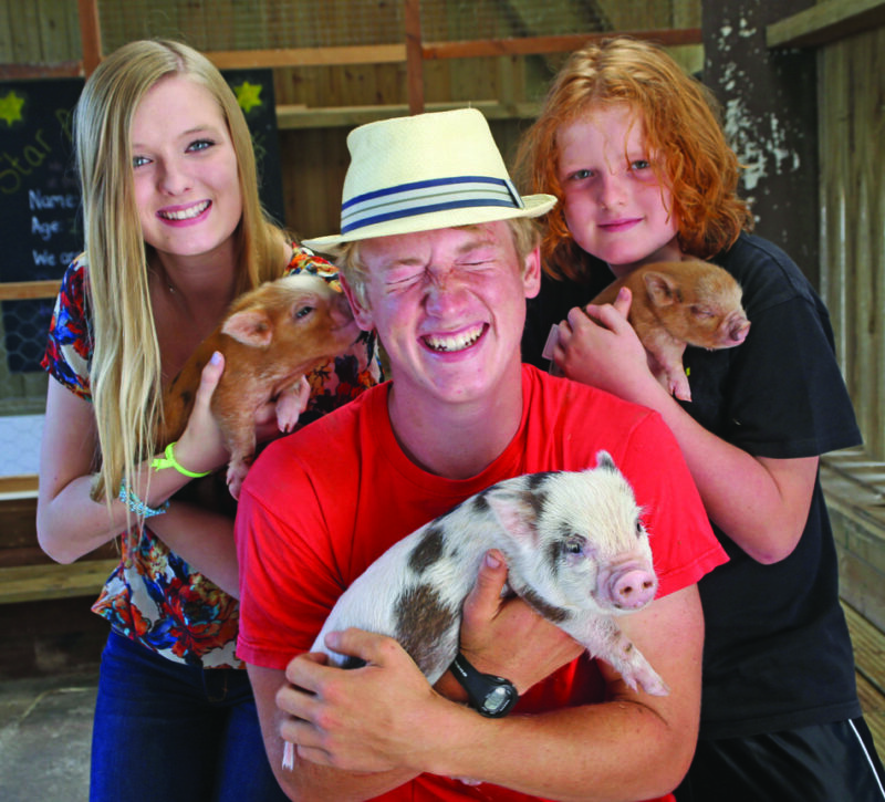 Pennywell Farm | Best Things To Do In 2026