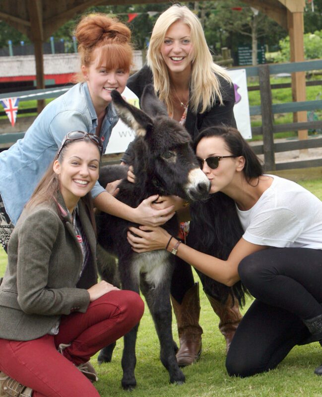 Pennywell Farm | Best Things To Do In 2026