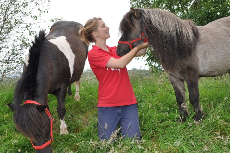 Pennywell Farm | Best Things To Do In 2026