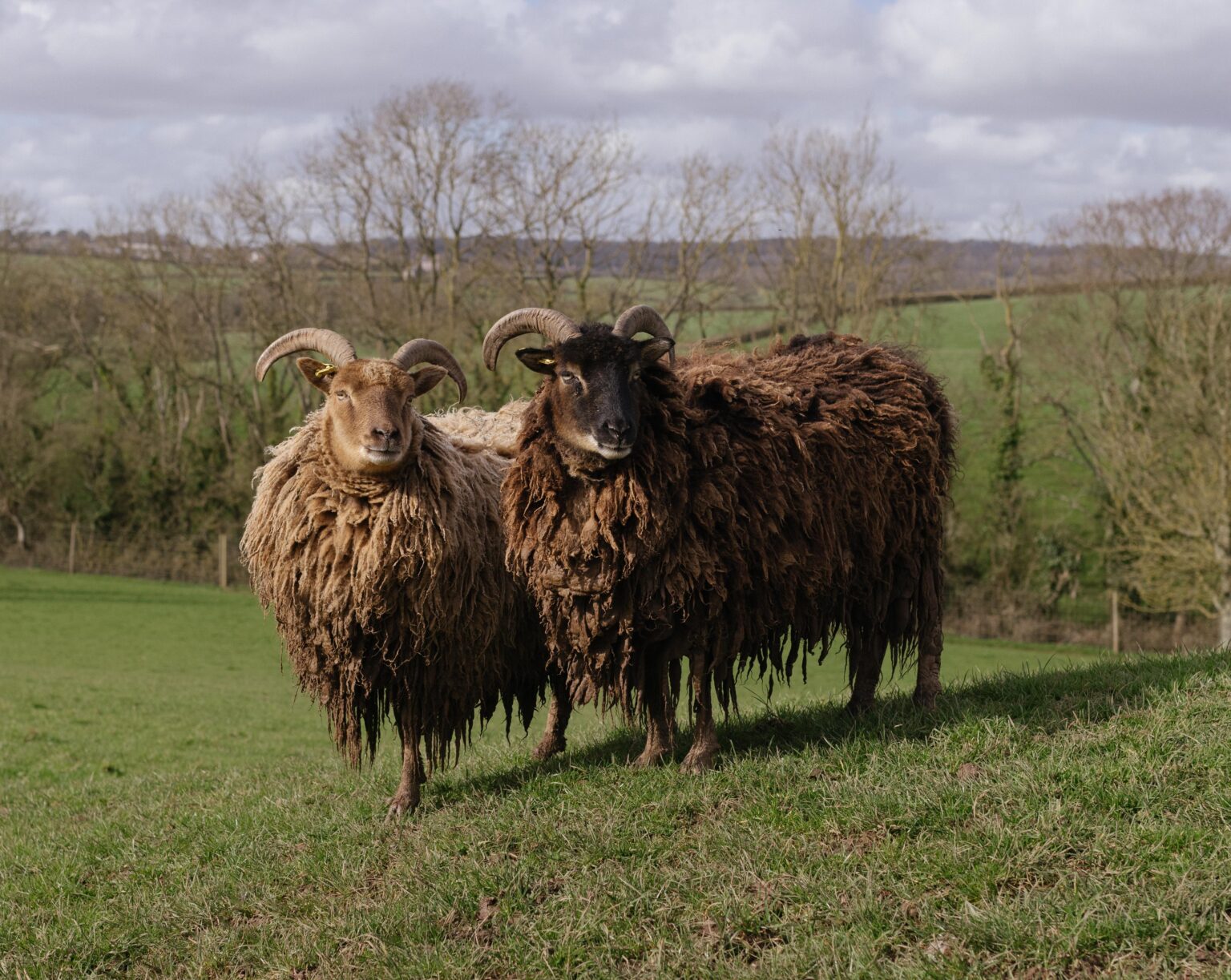 World of Country Life | Best Days Out in Exmouth & Devon 2026