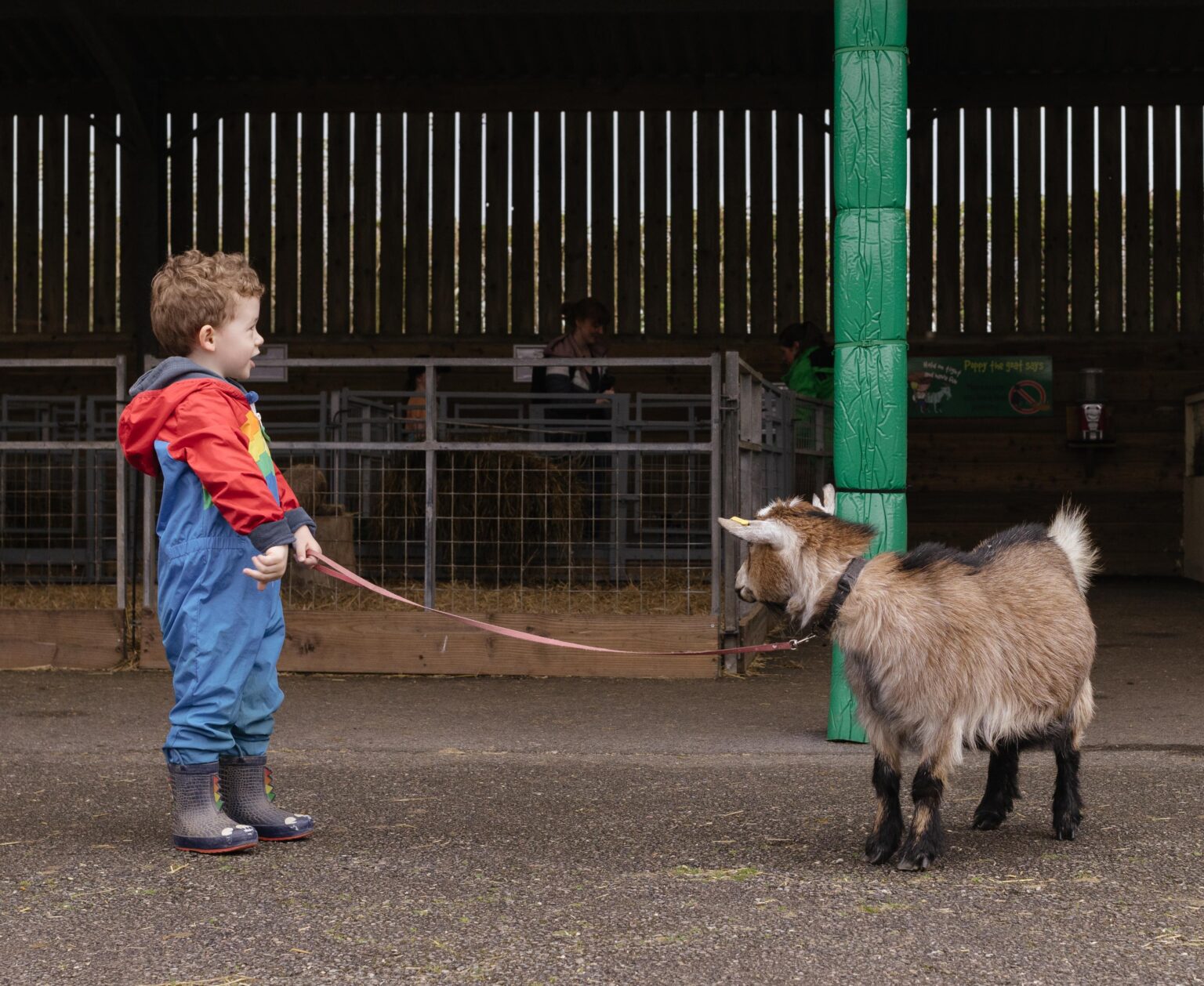 World of Country Life | Best Days Out in Exmouth & Devon 2026