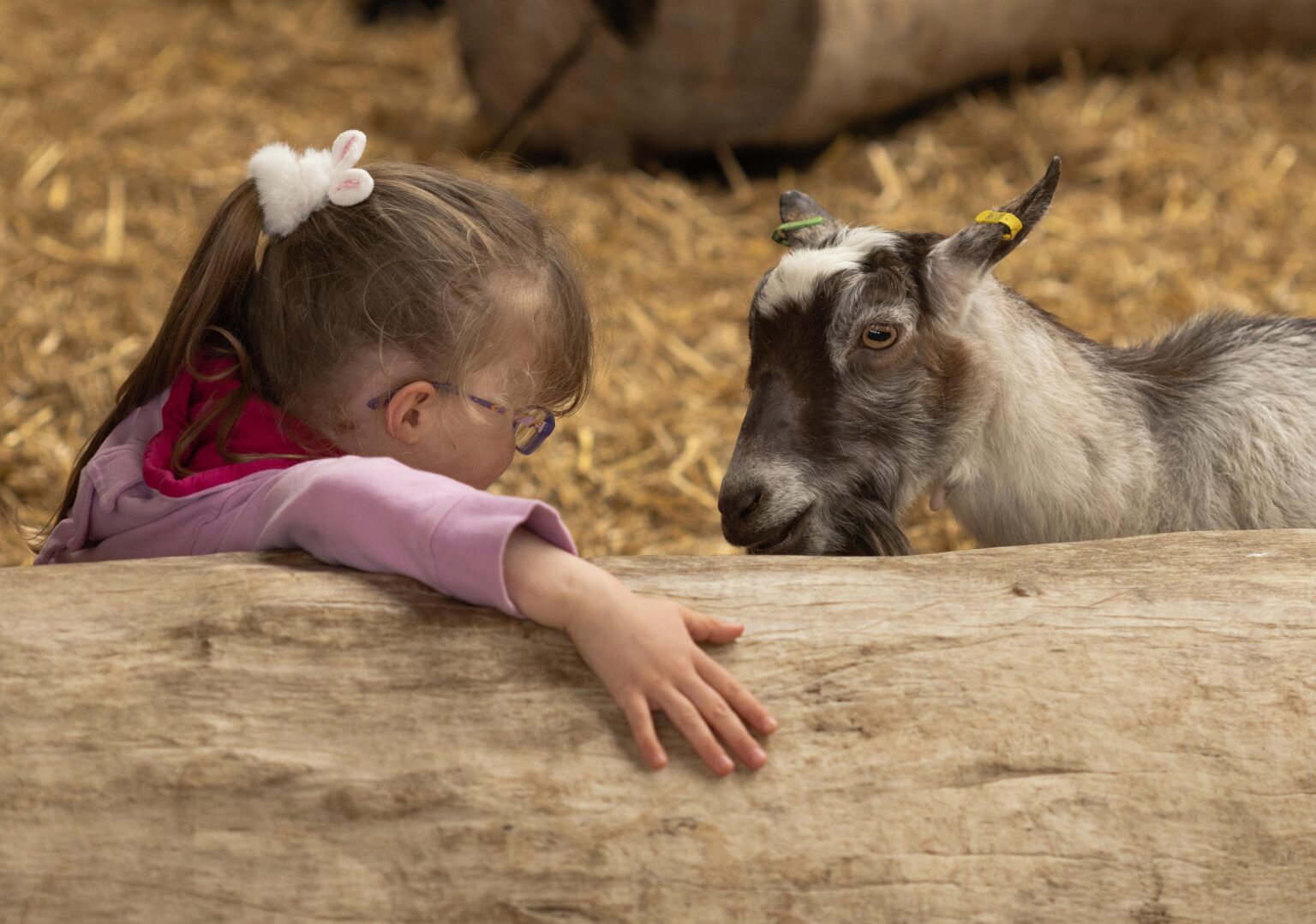 World of Country Life | Best Days Out in Exmouth & Devon 2026