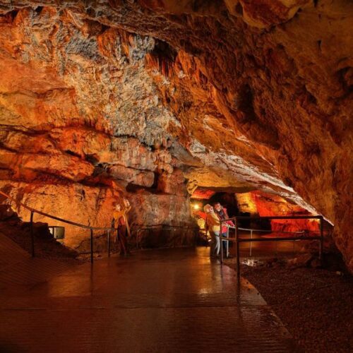 Kents Cavern Prehistoric Caves | Best Things to Do in Devon