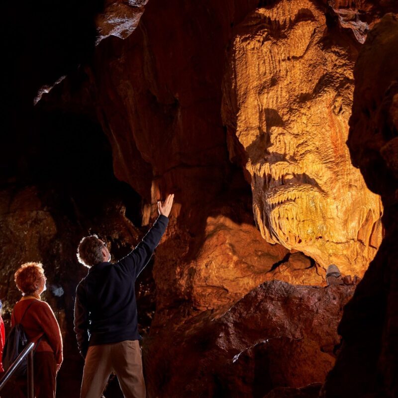 Kents Cavern Prehistoric Caves | Best Things to Do in Devon