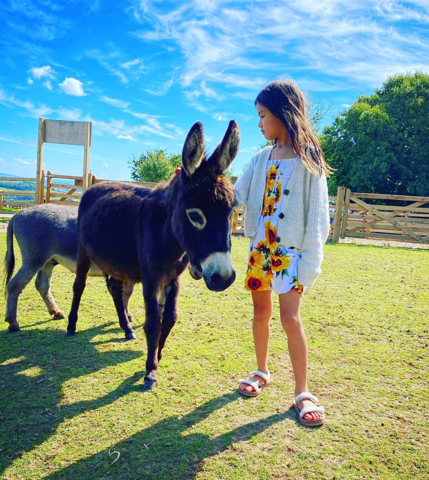 Pennywell Farm | Best Things To Do In 2026