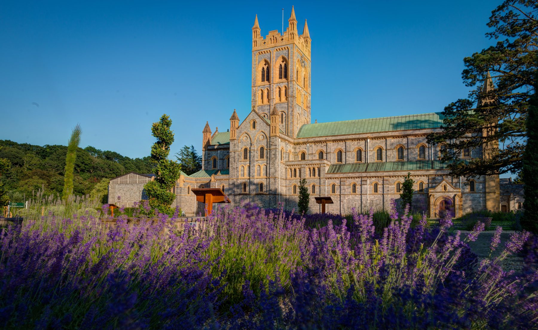 ABBEY CHURCH ADAPTS TO HELP VISITORS | Devon's Top Attractions