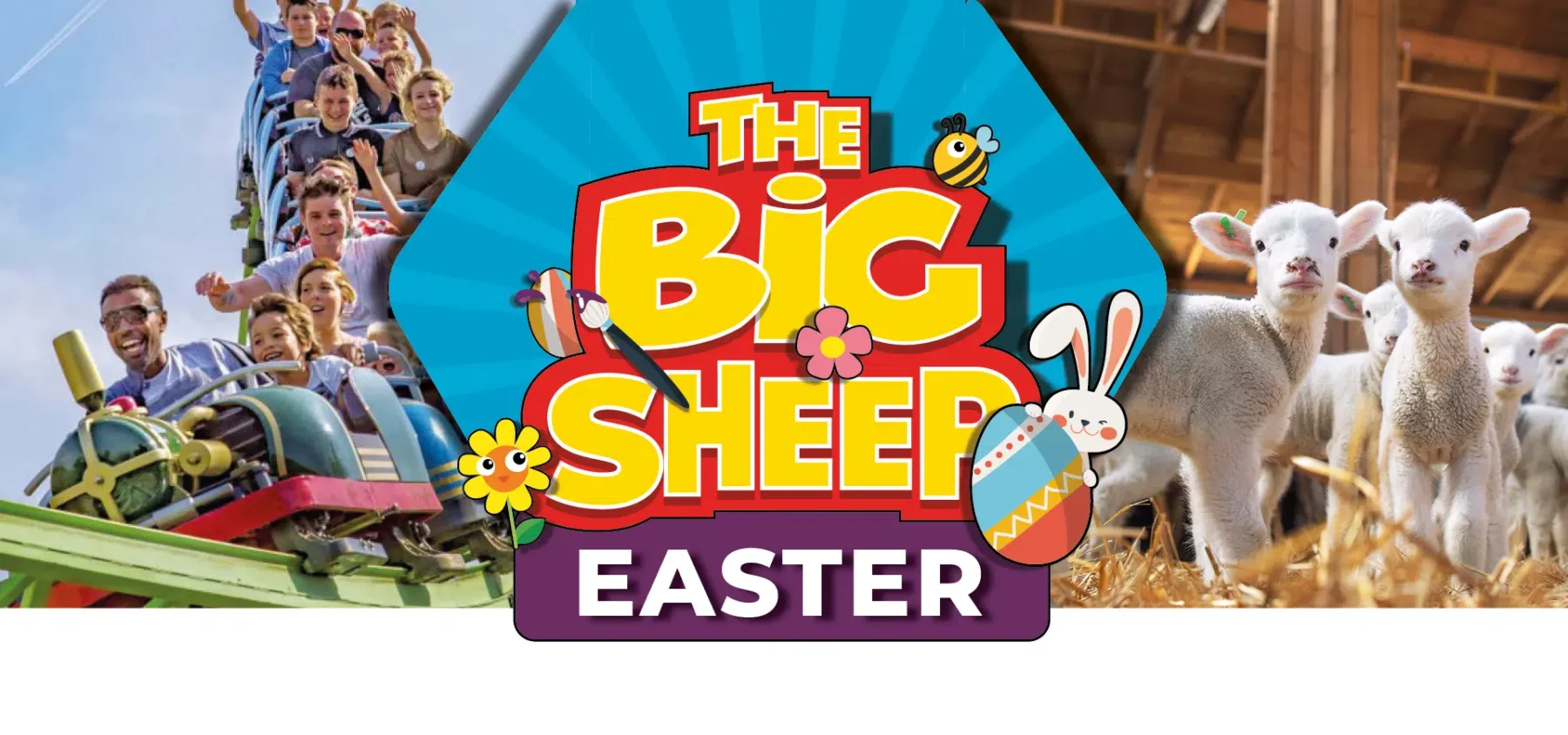 Events in Devon | Devon's Top Attractions