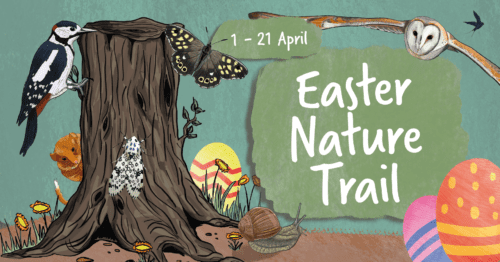 Family activity trail this Easter at The Donkey Sanctuary in Sidmouth ...