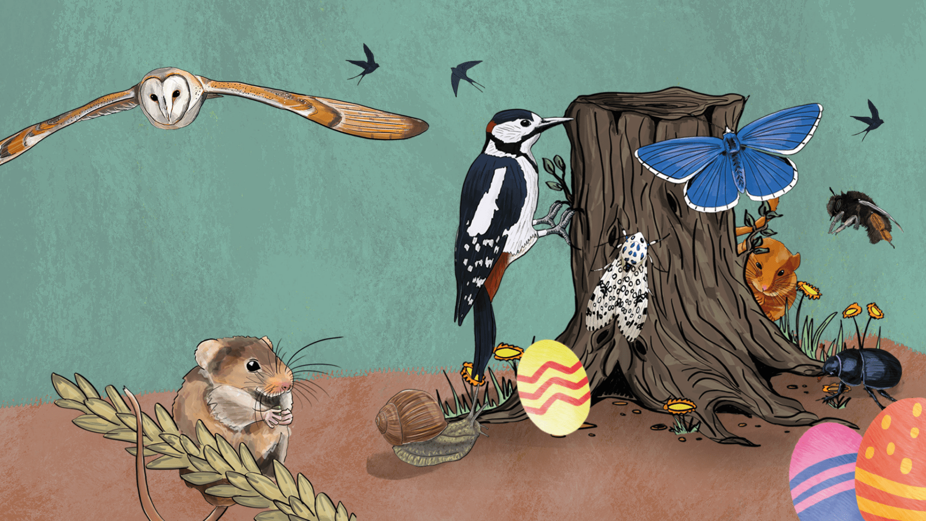 Family activity trail this Easter at The Donkey Sanctuary in Sidmouth, Devon