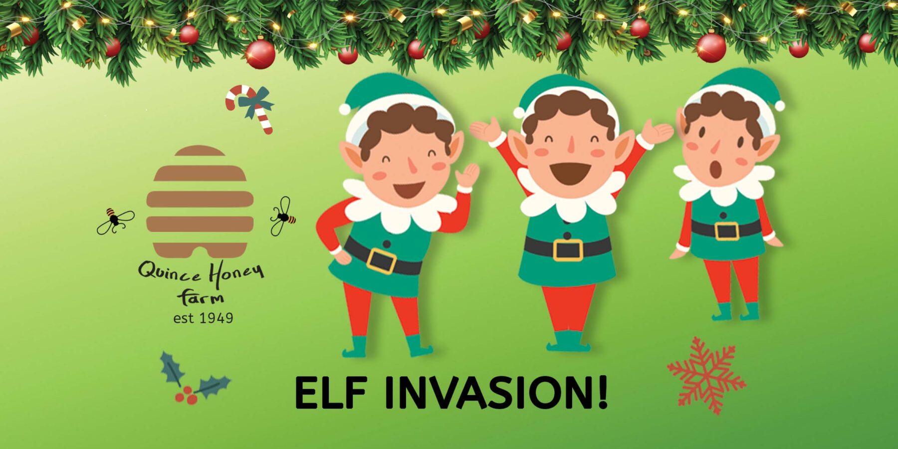 Join our Elf Invasion event and help us find those cheeky elves!
