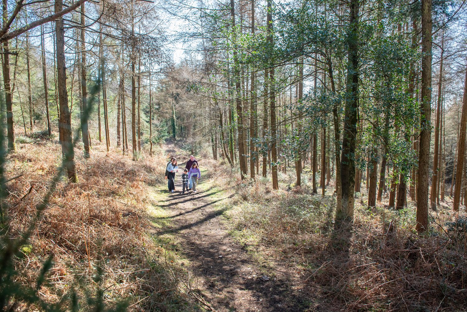 Make unforgettable memories at Haldon Forest Park