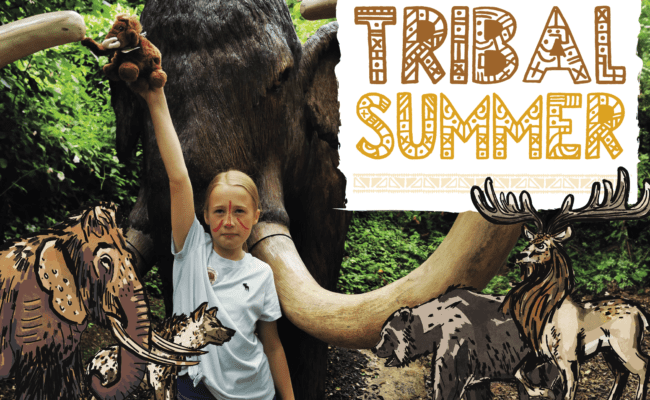 Summer Events in Devon 2024 | Devon's Top Attractions