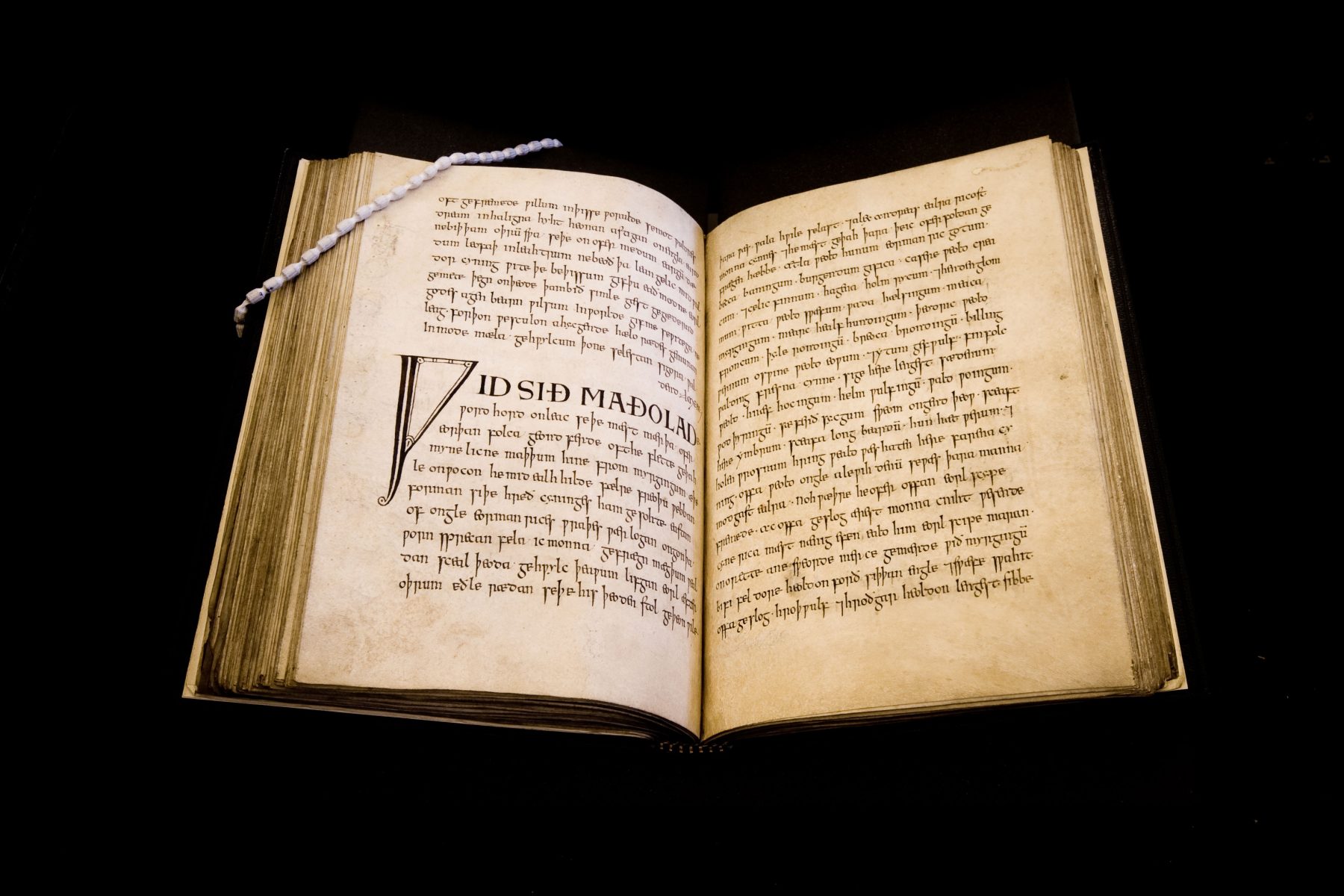 Spotlight on the Exeter Book