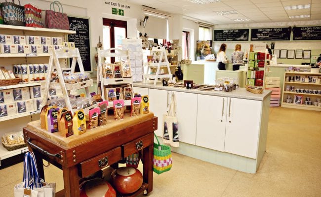 Canonteign Falls is a stunning natural attraction in the heart of Devon.