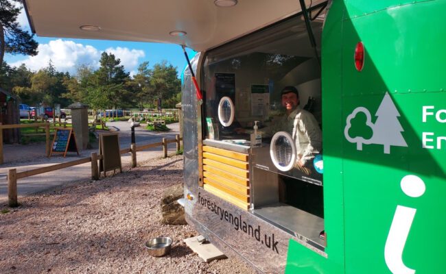 Haldon Forest Park | Best things to do in Devon 2022