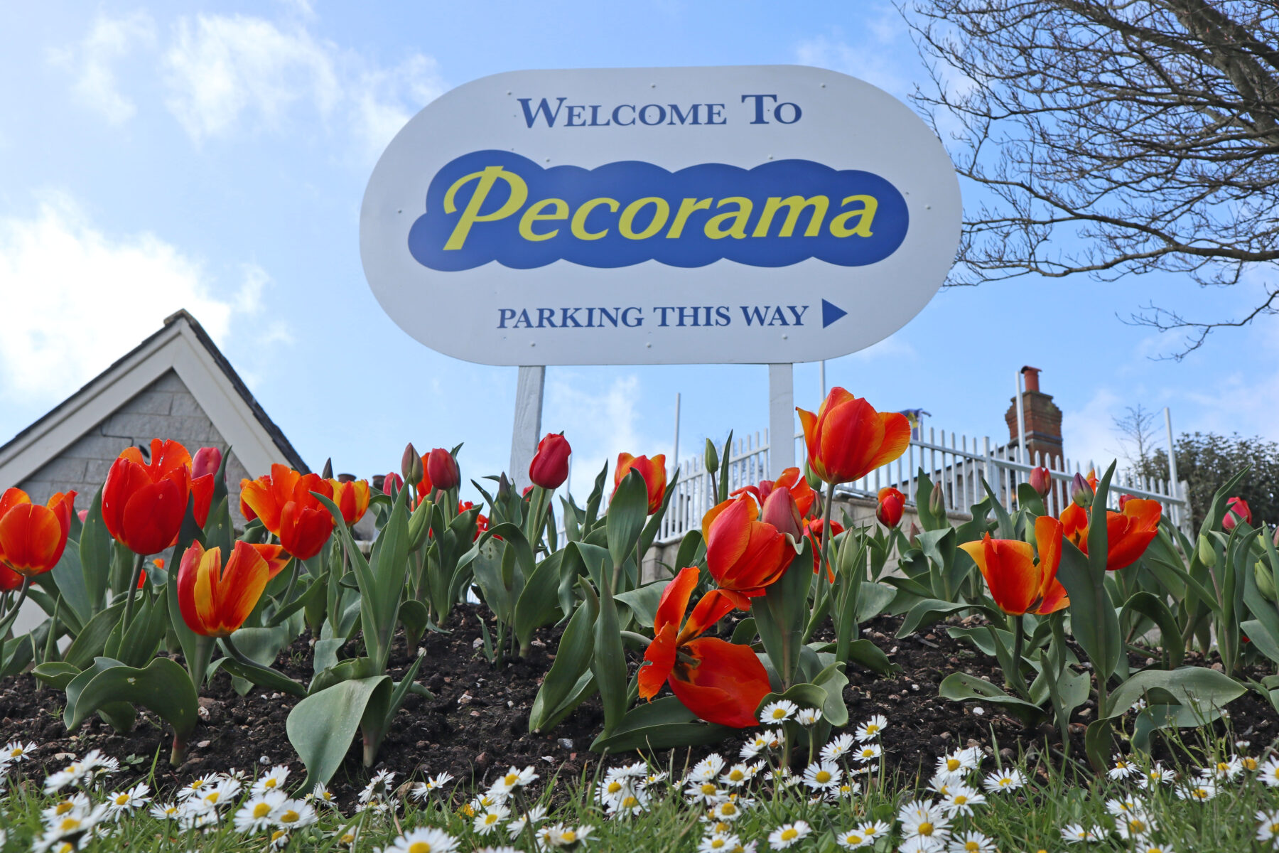 Embracing the Beauty of Spring at Pecorama