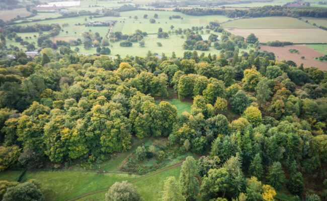 Killerton, National Trust | Devon's Top Attractions | Places to visit ...