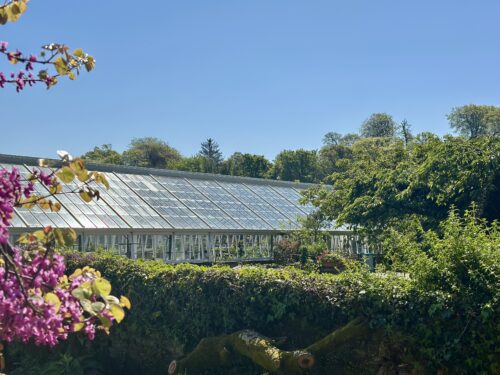 Clovelly | Best Things To Do 2026 | Devon's Top Attractions