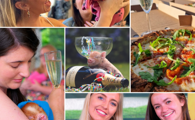 Summer Events in Devon 2024 | Devon's Top Attractions