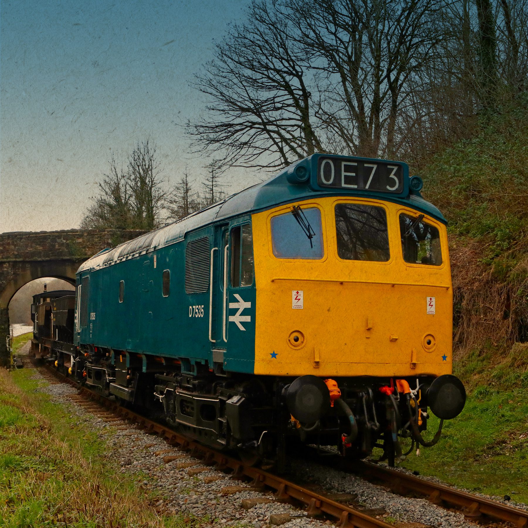 Diesel Gala at South Devon Railway