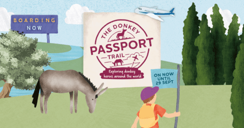Family activity trail this summer at The Donkey Sanctuary in Sidmouth ...