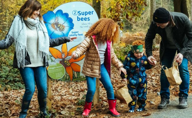 Haldon Forest Park | Best things to do in Devon 2022