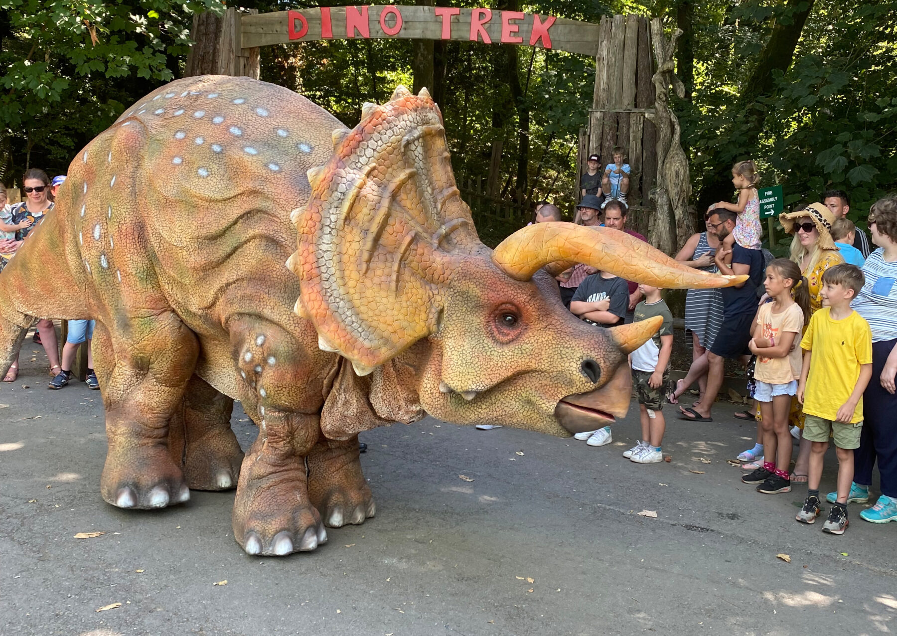 Dino Days At Woodlands