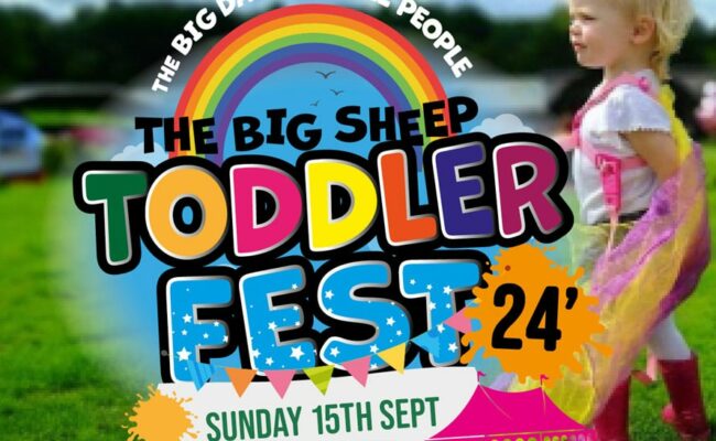 The BIG Sheep Family Attraction | Things to Do In Devon 2024
