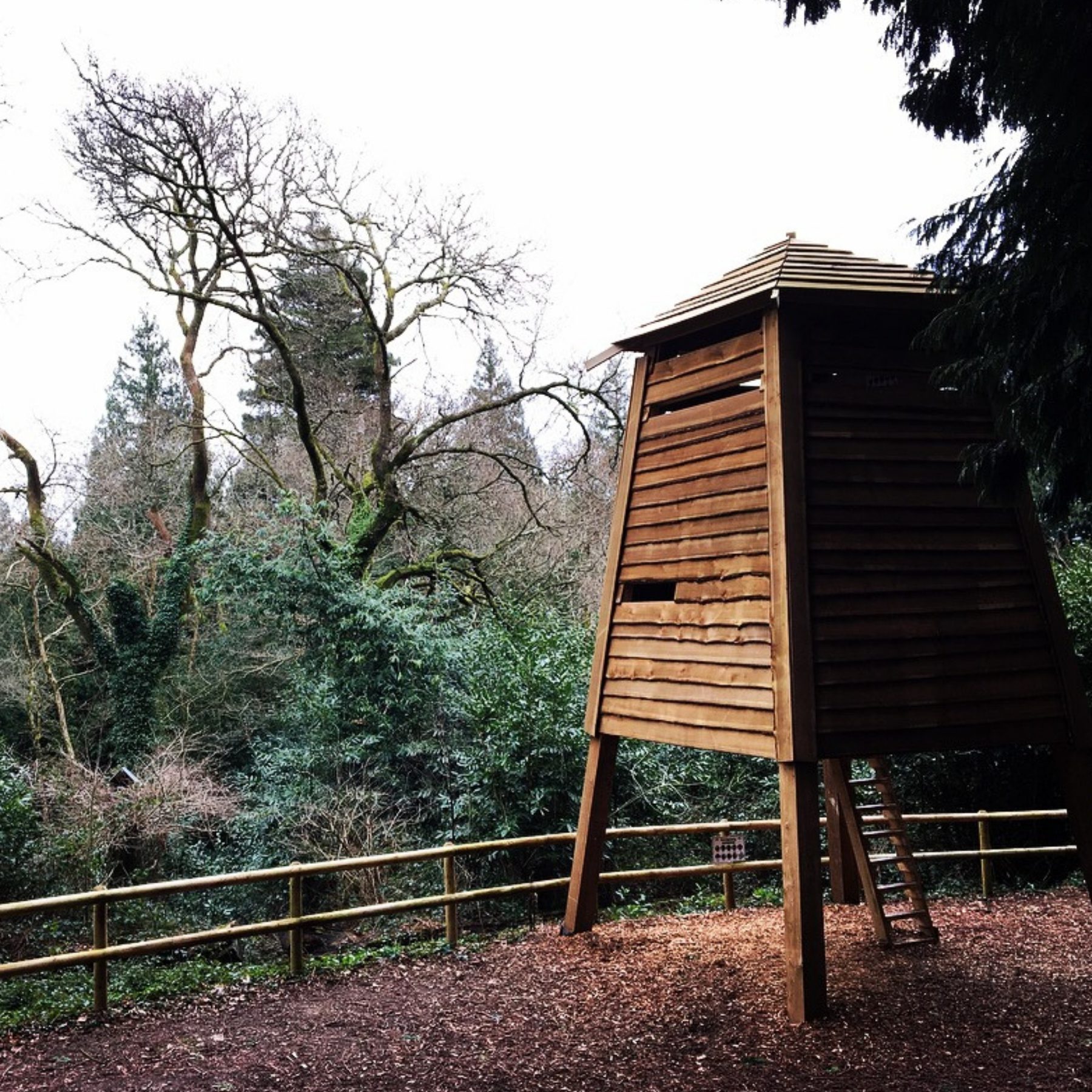 Attraction’s Observation Tower Reconnecting Families with Local Birdlife