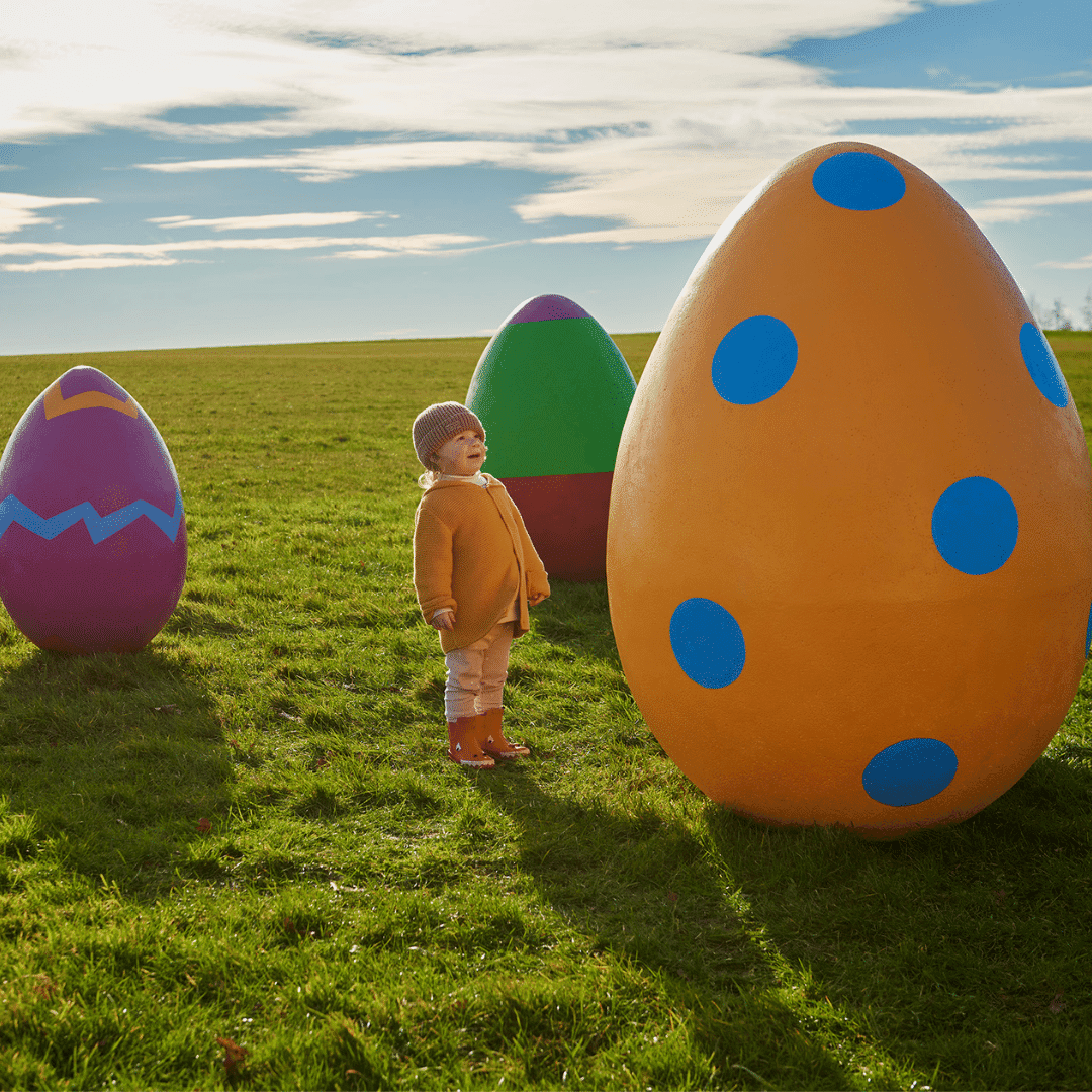 Events in Devon | Devon's Top Attractions