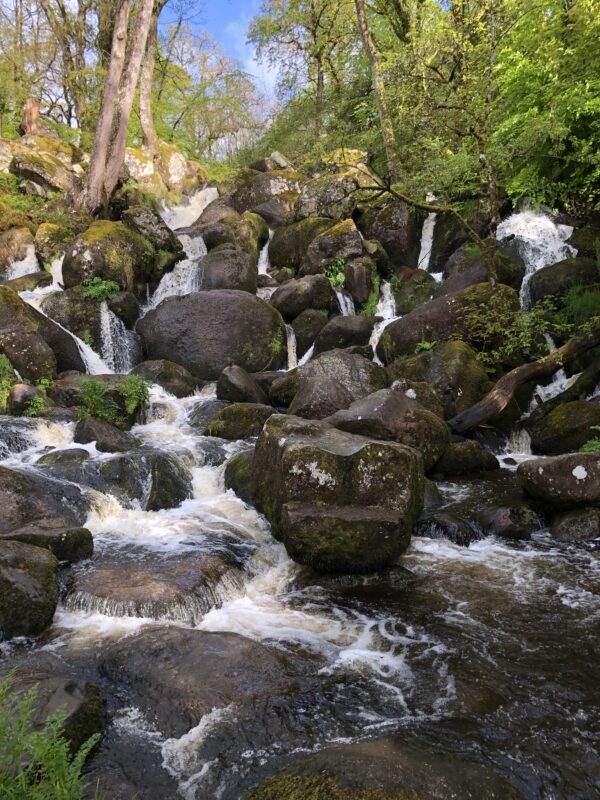 Becky Falls Dartmoor | Top Family Day Out in Devon | Waterfalls ...