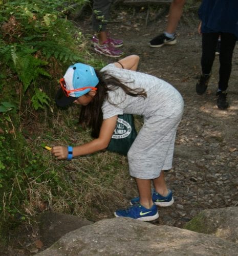 Becky Falls Devon | Devon's Top Attractions