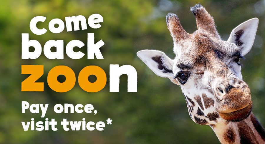 Paignton Zoo | Best Devon Zoos 2024 | Devon's Top Attractions