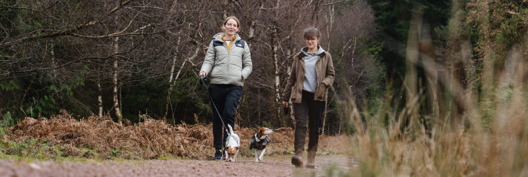 Walk Your Dog Month at Haldon Forest Park