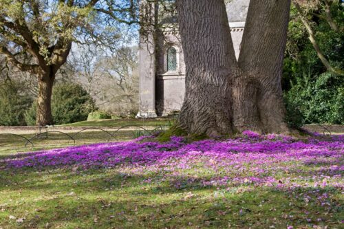 Killerton, National Trust | Devon's Top Attractions | Places to visit ...