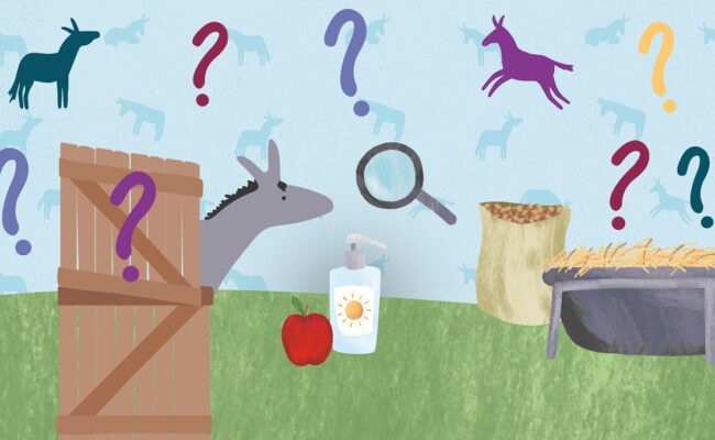 What's On July | Devon's Top Attractions