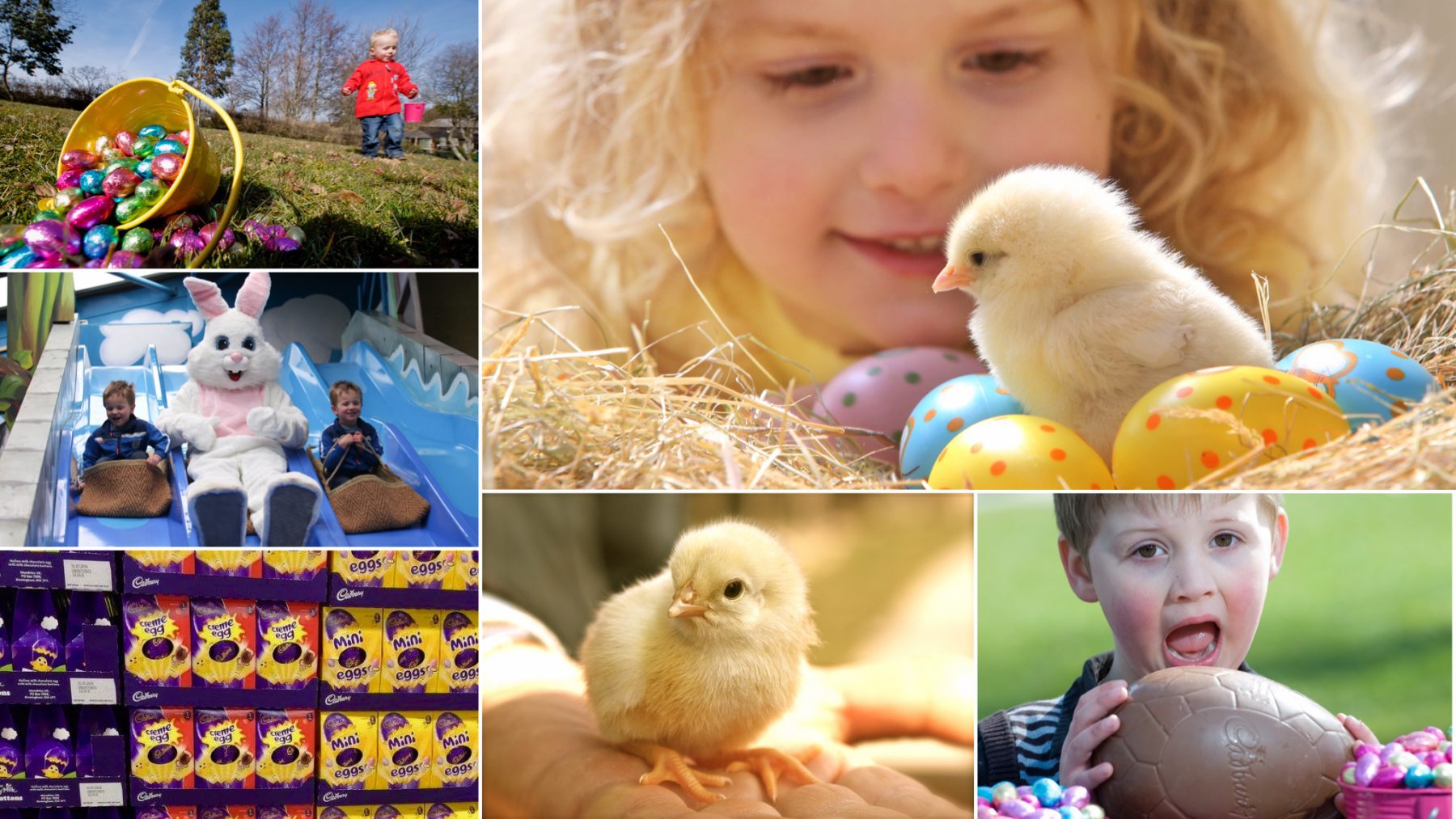 Events in Devon | Devon's Top Attractions