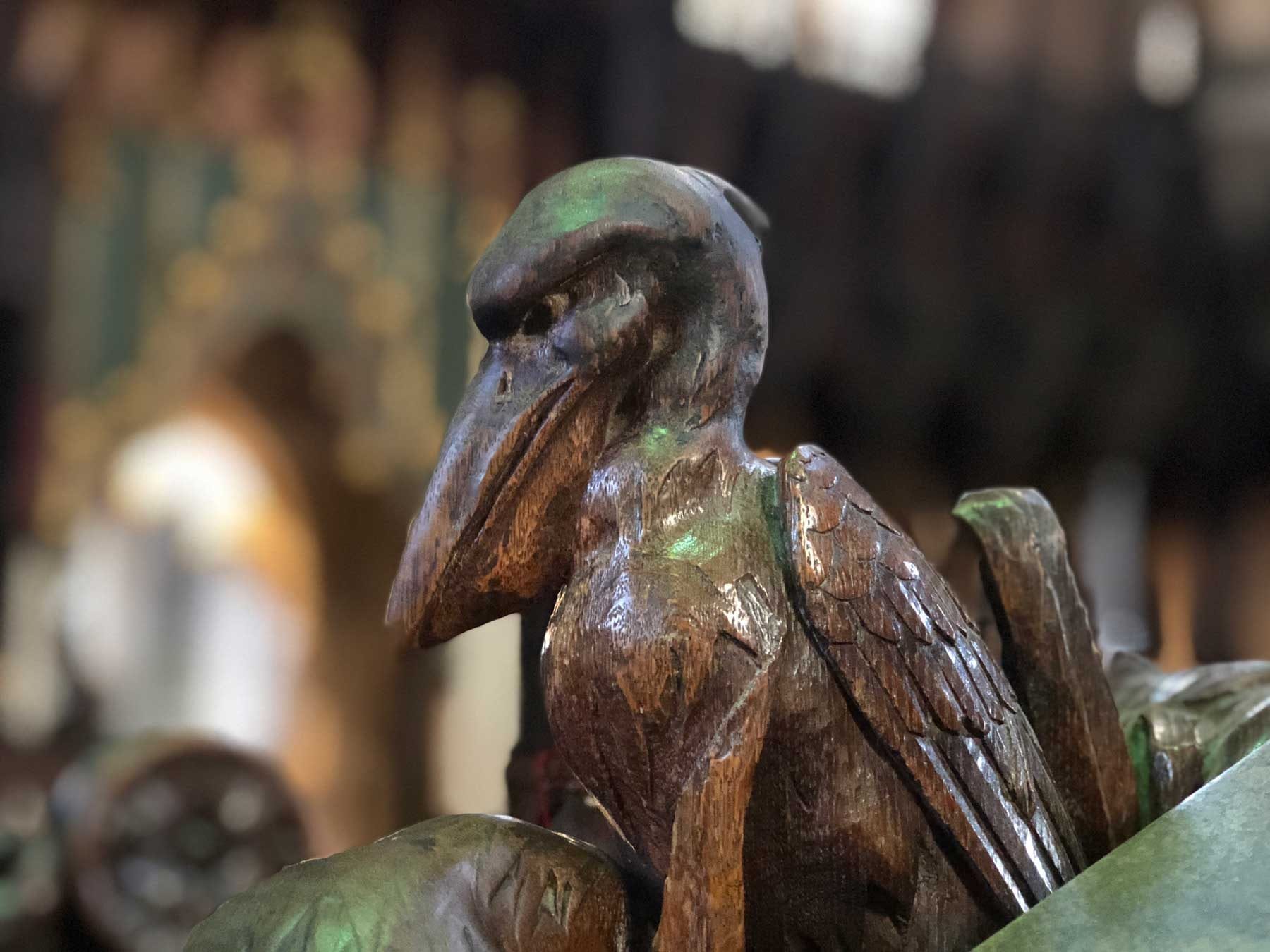 Birds of Exeter Cathedral