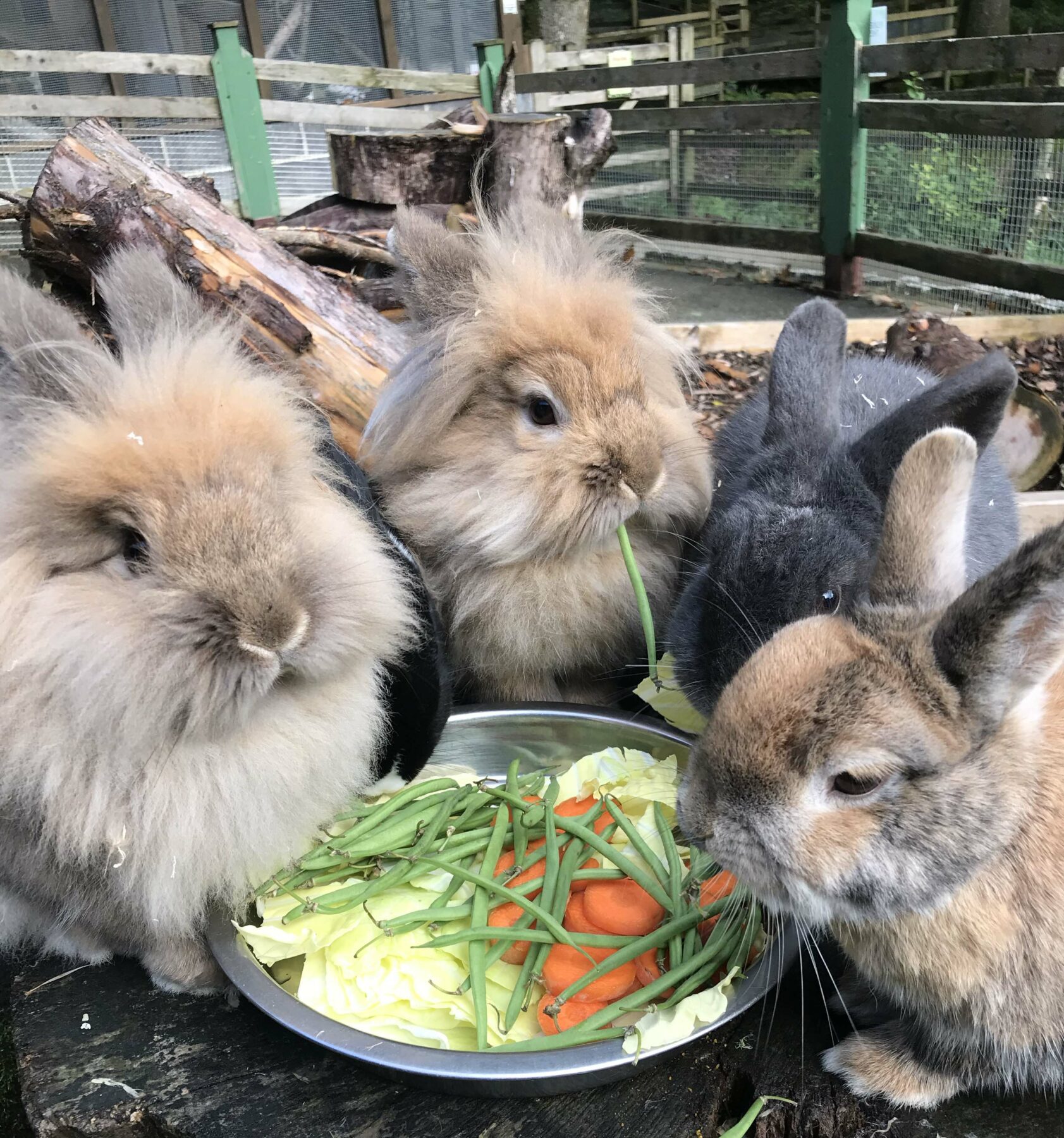 Events in Devon | Devon's Top Attractions