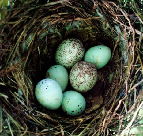 Events in Devon | Devon's Top Attractions