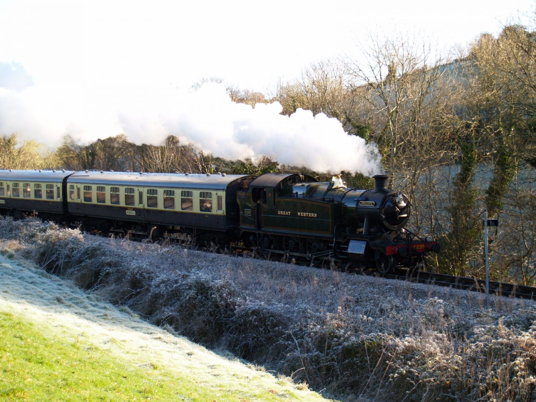 Events in Devon | Devon's Top Attractions